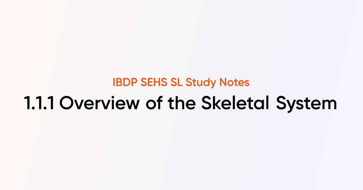 Overview of the Skeletal System (1.1.1) | IB DP Sports, Exercise and ...