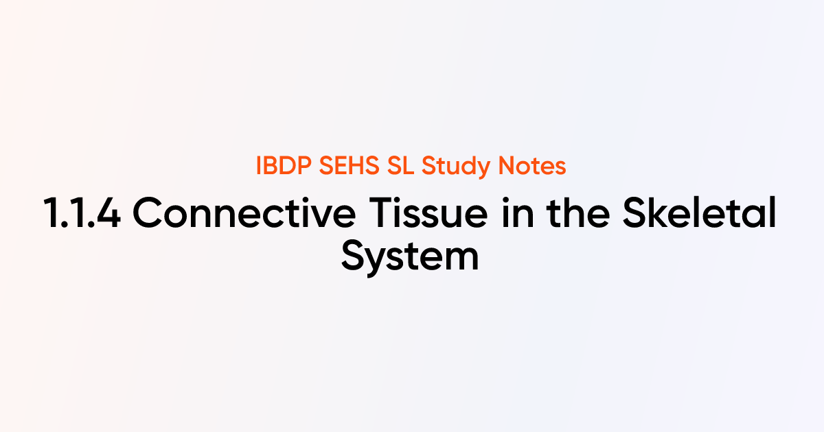 Connective Tissue in the Skeletal System (1.1.4) | IB DP Sports ...