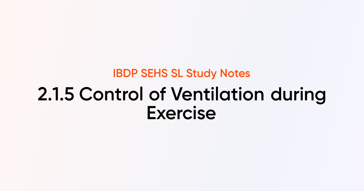 Control of Ventilation during Exercise (2.1.5) | IB DP Sports, Exercise ...