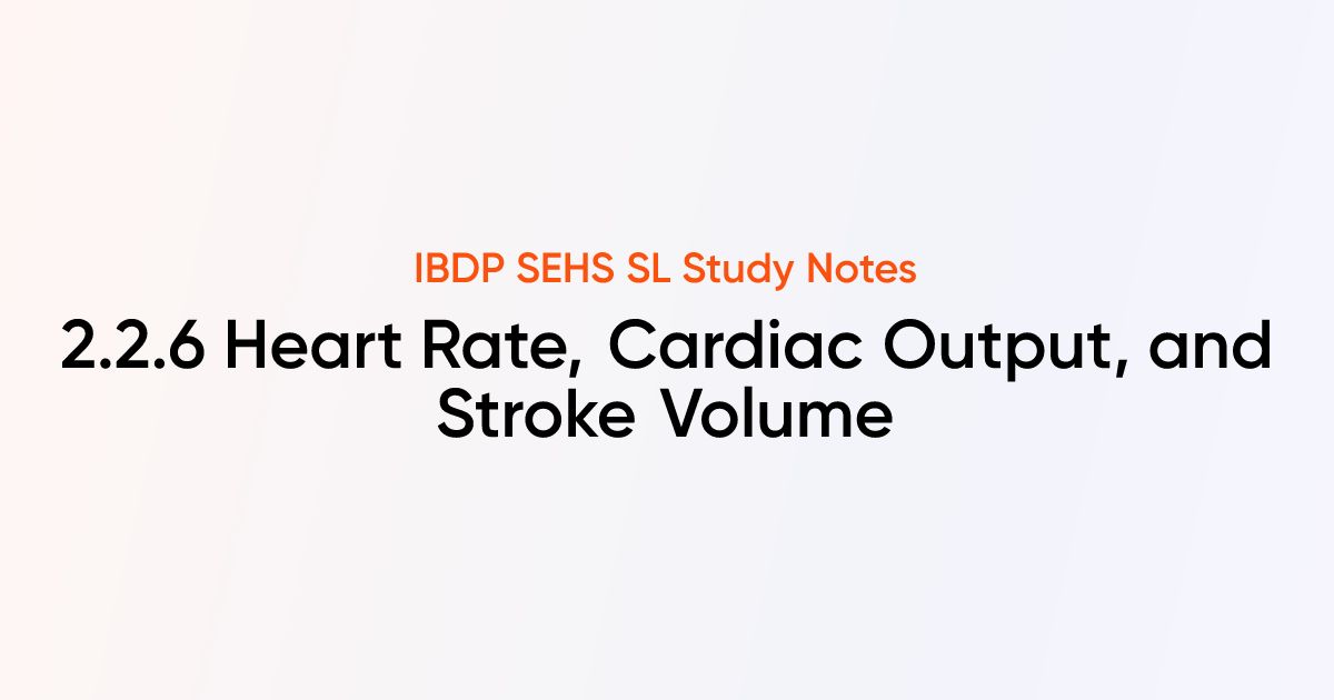 Heart Rate, Cardiac Output, and Stroke Volume (2.2.6) | IB DP Sports ...