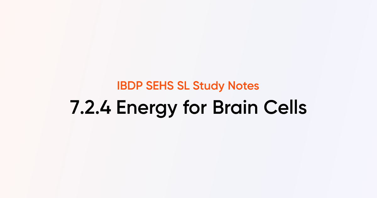 Energy for Brain Cells (7.2.4) | IB DP Sports, Exercise and Health ...