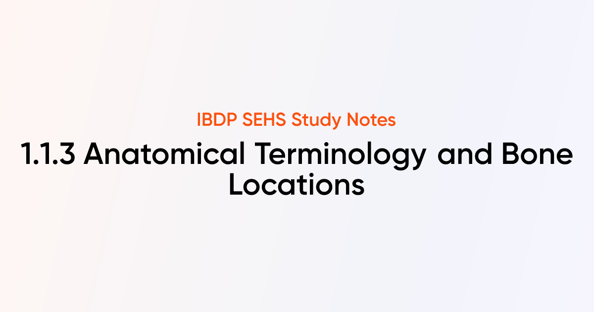 Anatomical Terminology and Bone Locations (1.1.3) | IB DP Sports ...