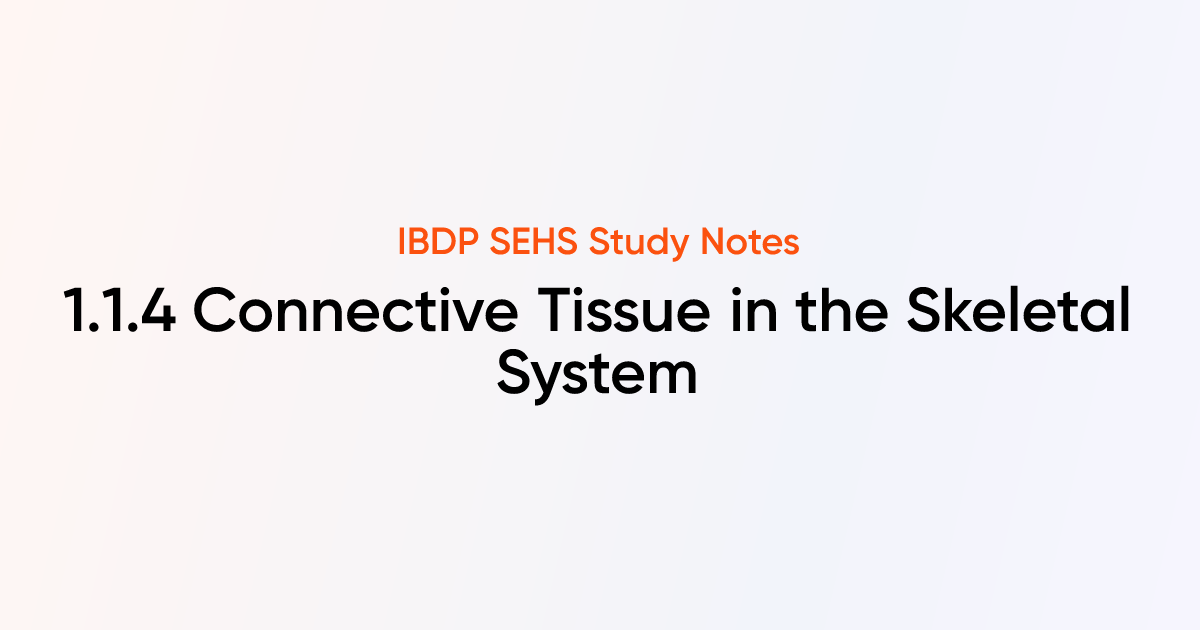 Connective Tissue in the Skeletal System (1.1.4) | IB DP Sports, Exercise and Health Science ...