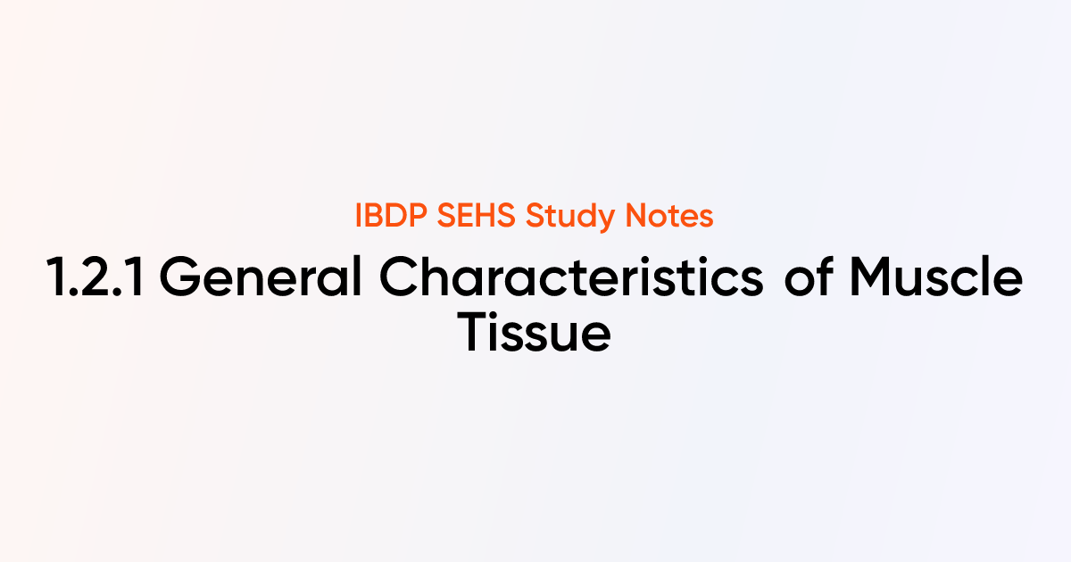 General Characteristics of Muscle Tissue (1.2.1) | IB DP Sports ...