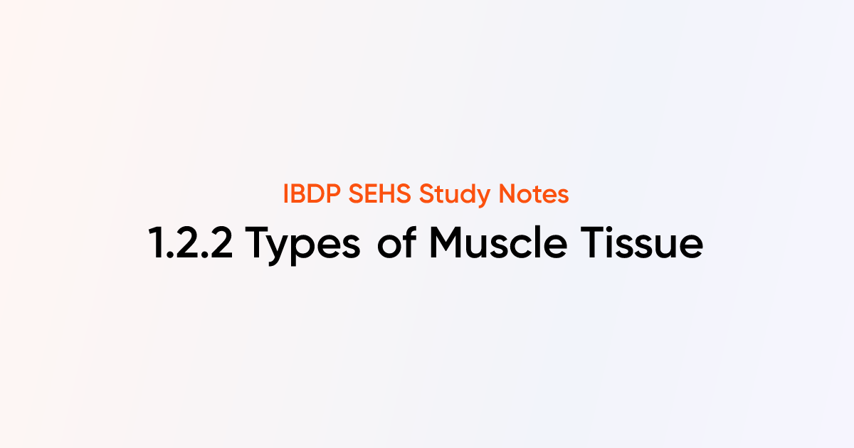 Types of Muscle Tissue (1.2.2) | IB DP Sports, Exercise and Health ...
