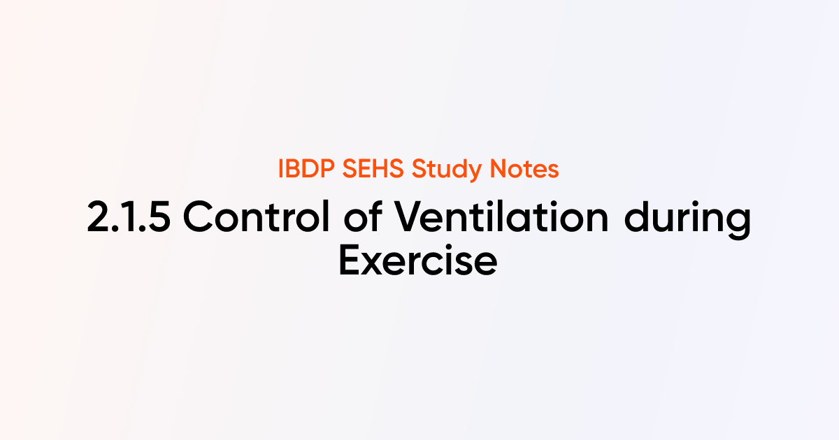 Control of Ventilation during Exercise (2.1.5) | IB DP Sports, Exercise ...