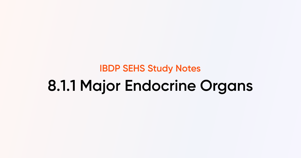 Major Endocrine Organs 811 Ib Dp Sports Exercise And Health Science Notes Tutorchase