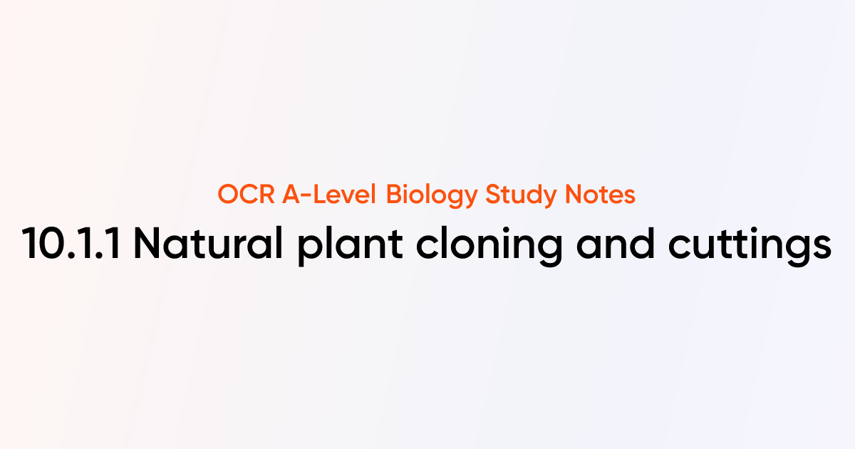 Natural plant cloning and cuttings (10.1.1) | OCR A-Level Biology Notes ...