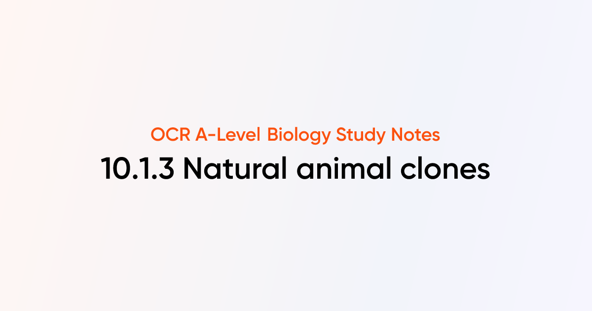 Natural animal clones (10.1.3) | OCR A-Level Biology Notes | TutorChase