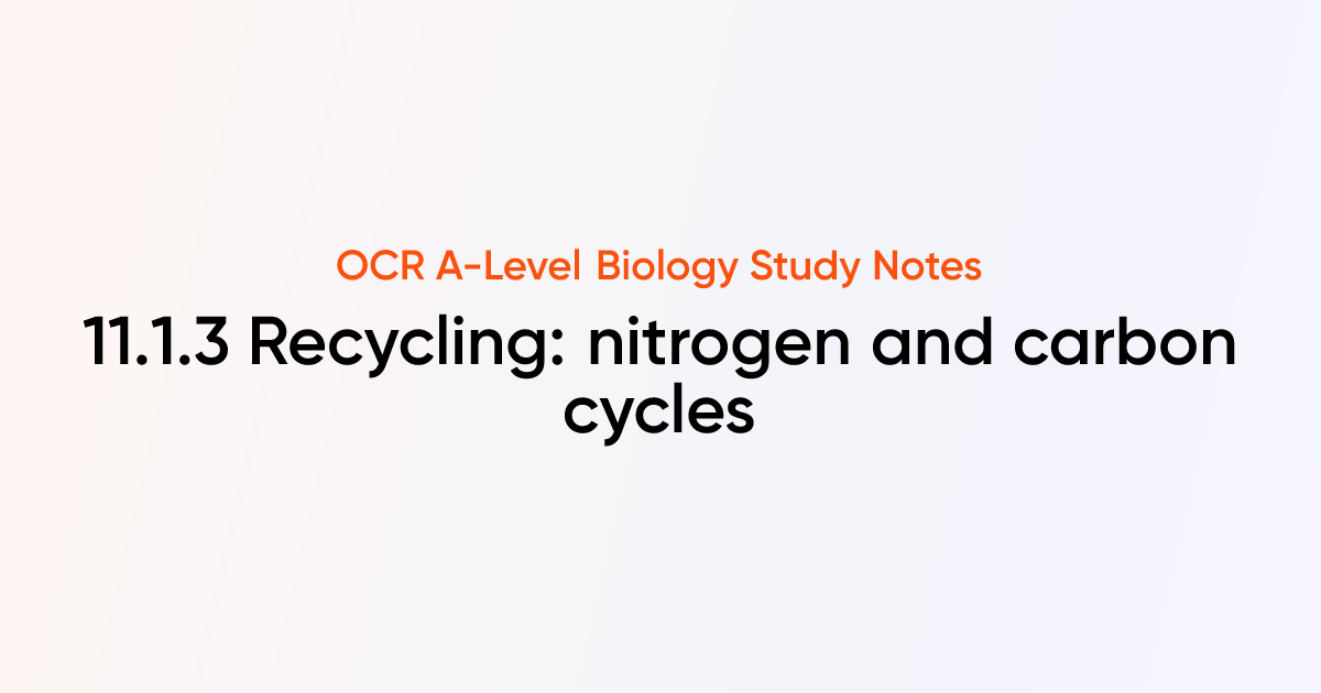Recycling: nitrogen and carbon cycles (11.1.3) | OCR A-Level Biology ...