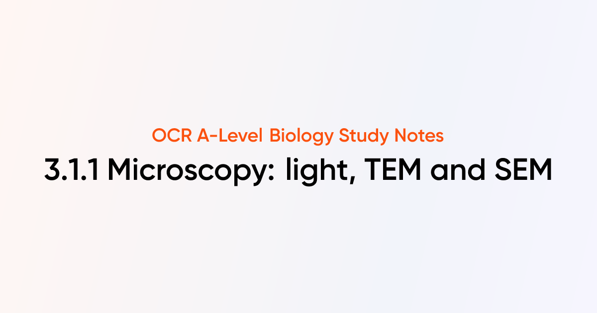 Microscopy: light, TEM and SEM (3.1.1) | OCR A-Level Biology Notes ...