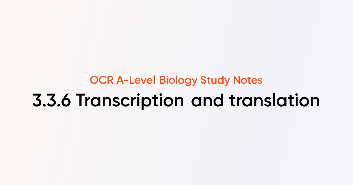 Transcription and translation (3.3.6 ) | OCR A-Level Biology Notes ...
