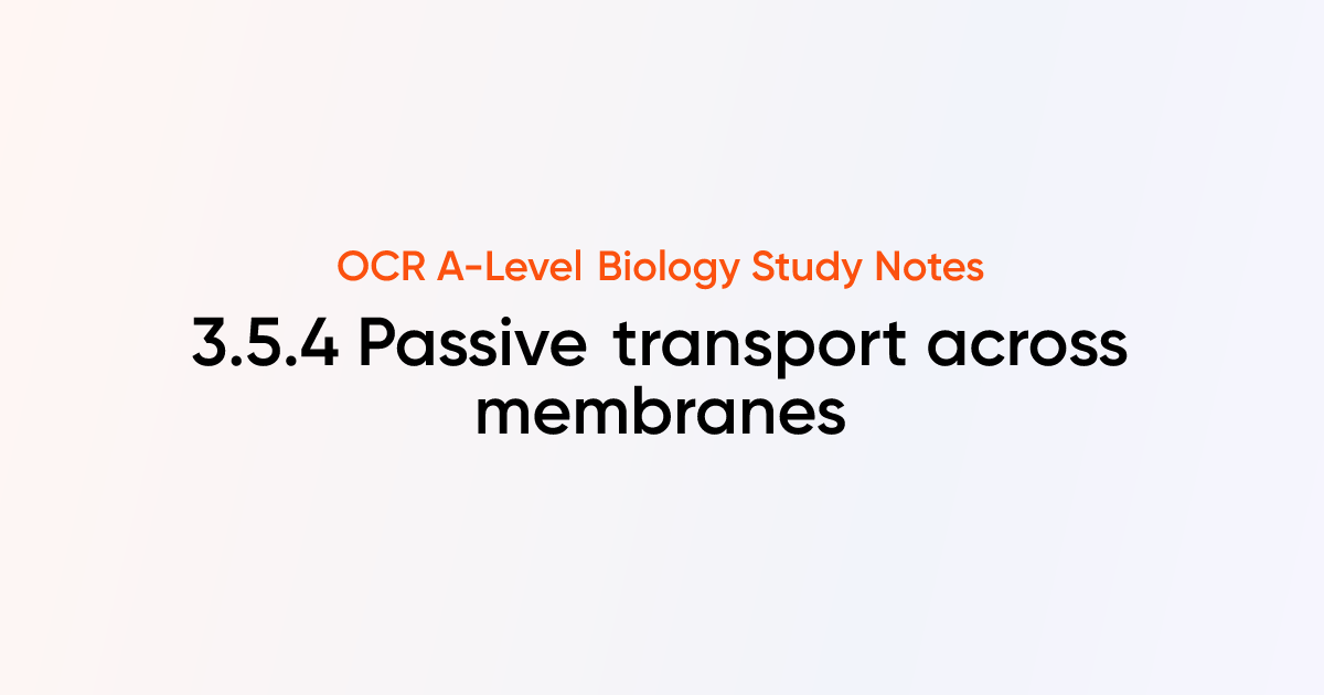 Passive transport across membranes (3.5.4) | OCR A-Level Biology Notes ...