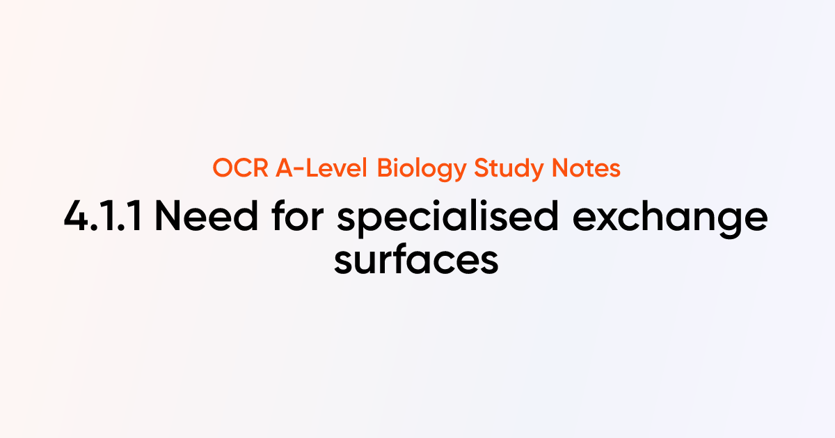 Need for specialised exchange surfaces (4.1.1) | OCR A-Level Biology ...
