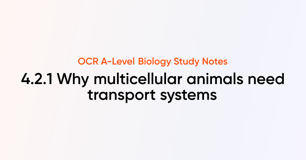 Why multicellular animals need transport systems (4.2.1) | OCR A-Level ...