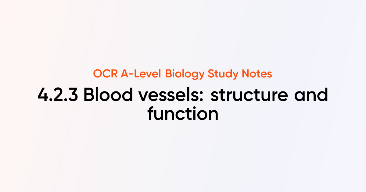 Blood vessels: structure and function (4.2.3) | OCR A-Level Biology ...