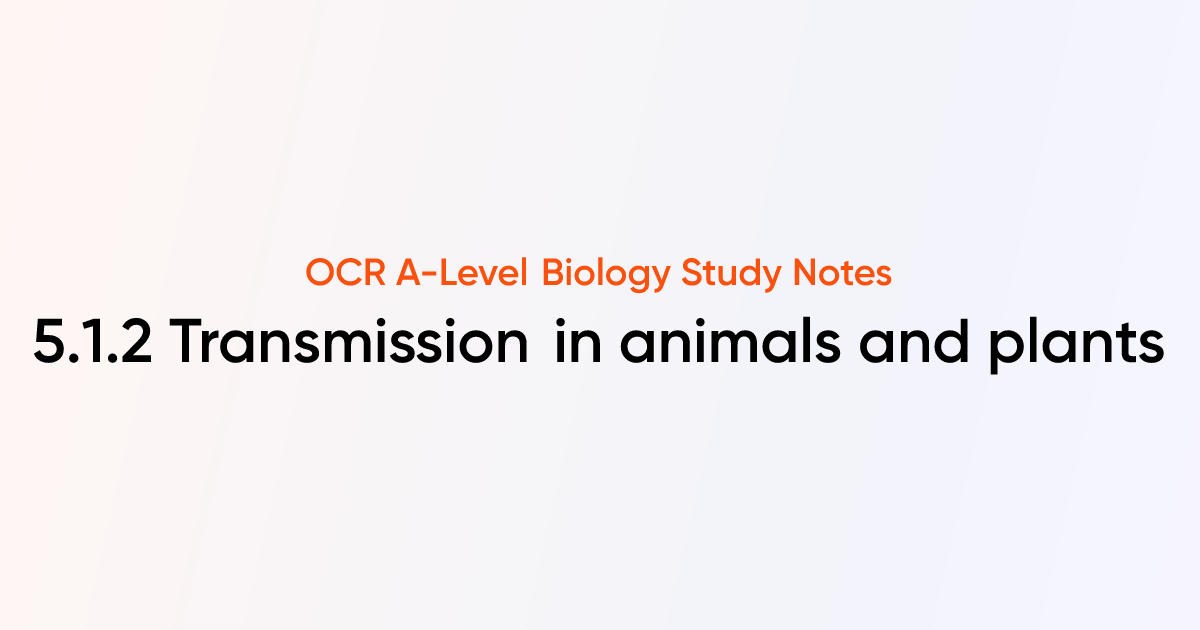 Transmission in animals and plants (5.1.2) | OCR A-Level Biology Notes ...