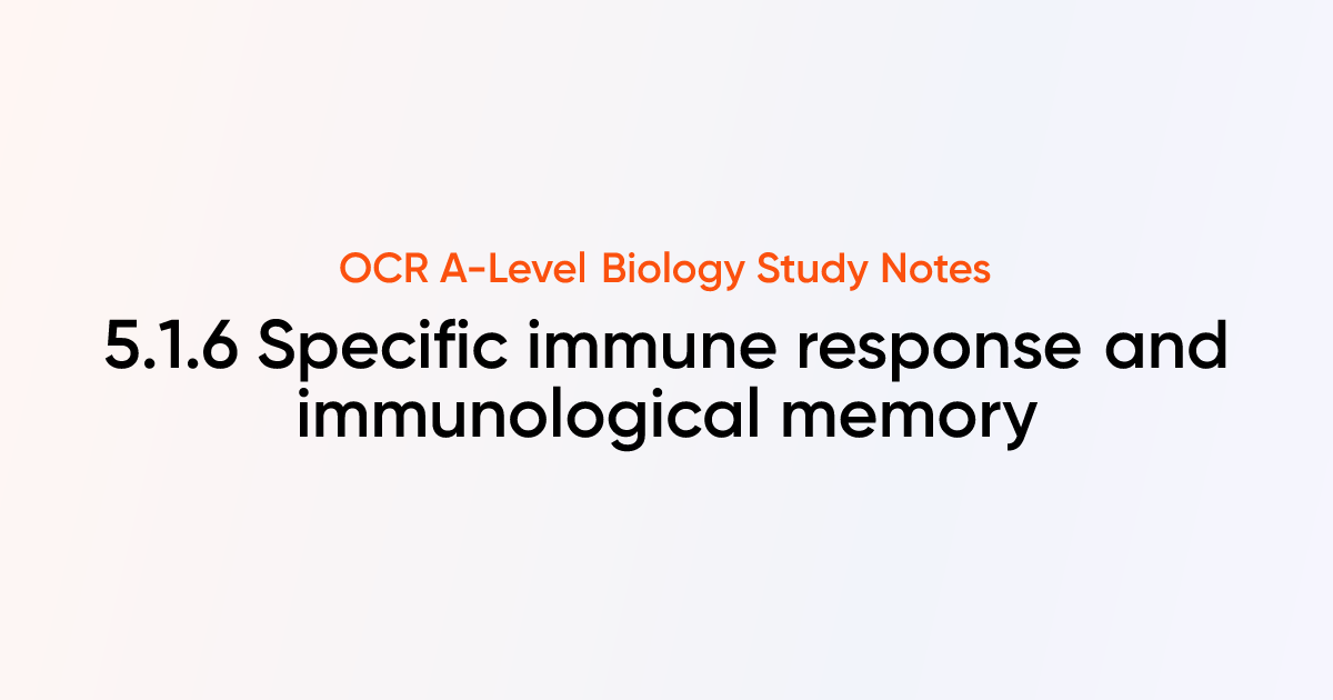 Specific immune response and immunological memory (5.1.6) | OCR A-Level ...
