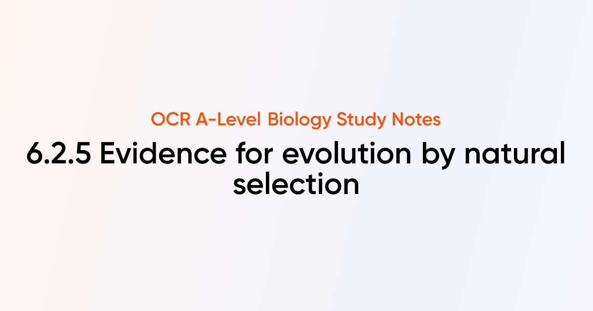 Evidence for evolution by natural selection (6.2.5) | OCR A-Level ...