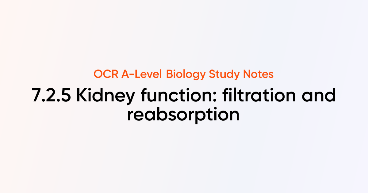 Kidney function: filtration and reabsorption (7.2.5) | OCR A-Level ...