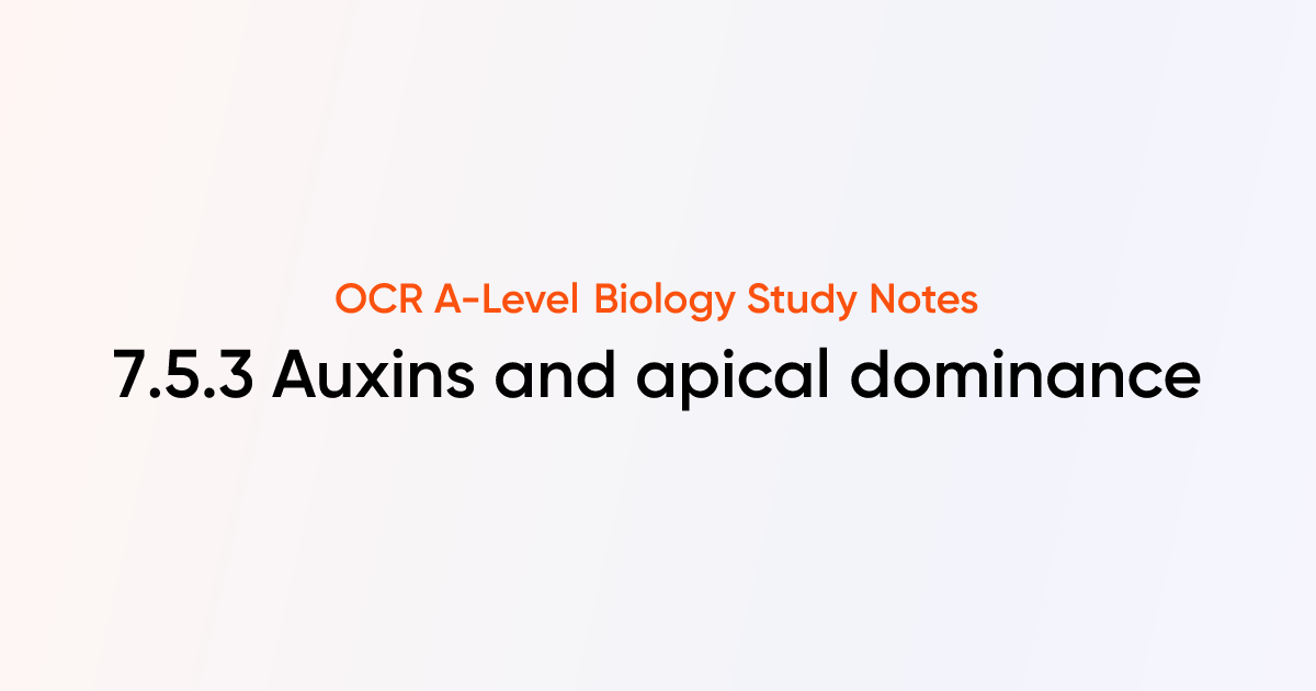 Auxins and apical dominance (7.5.3) | OCR A-Level Biology Notes ...