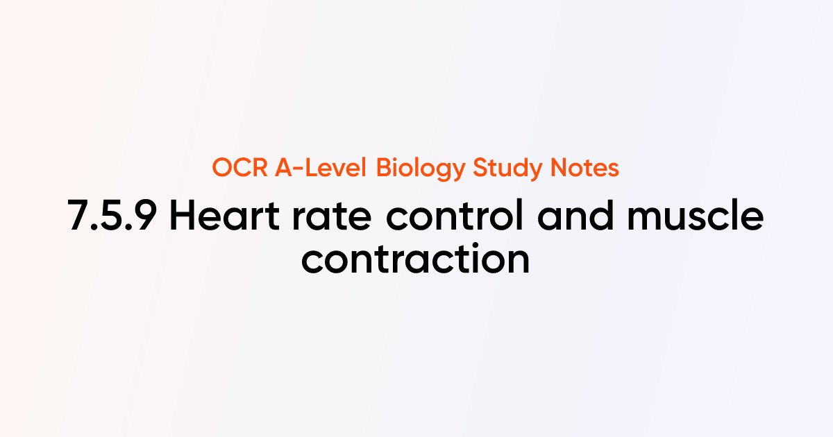 Heart rate control and muscle contraction (7.5.9) | OCR A-Level Biology ...