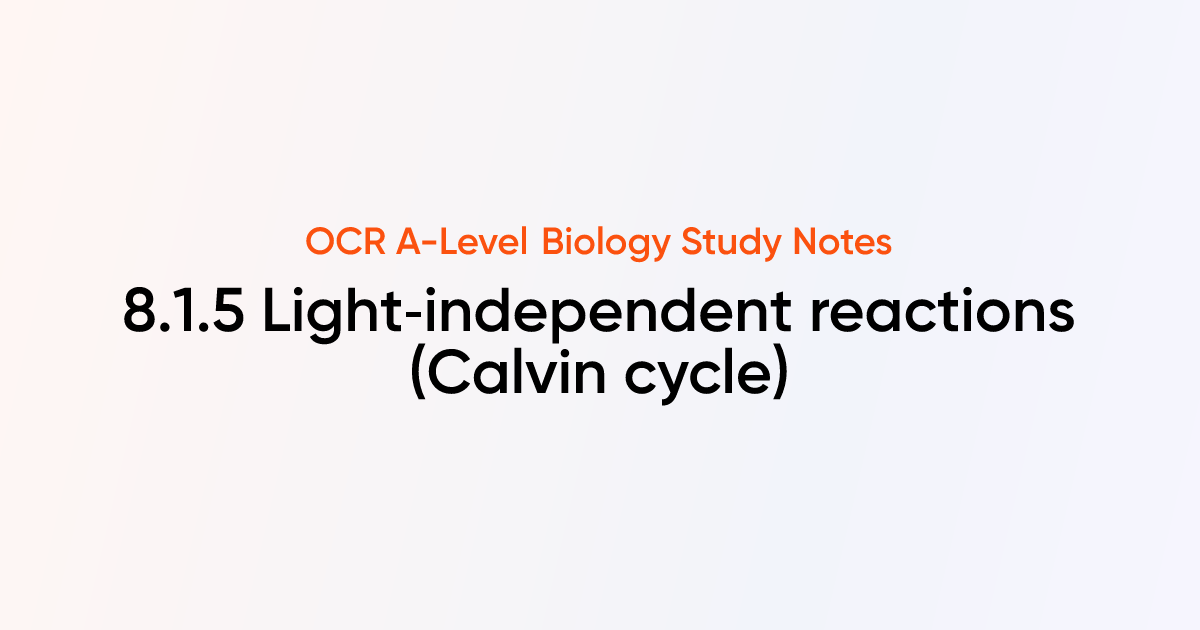 Light‑independent reactions (Calvin cycle)s (8.1.5) | OCR A-Level ...
