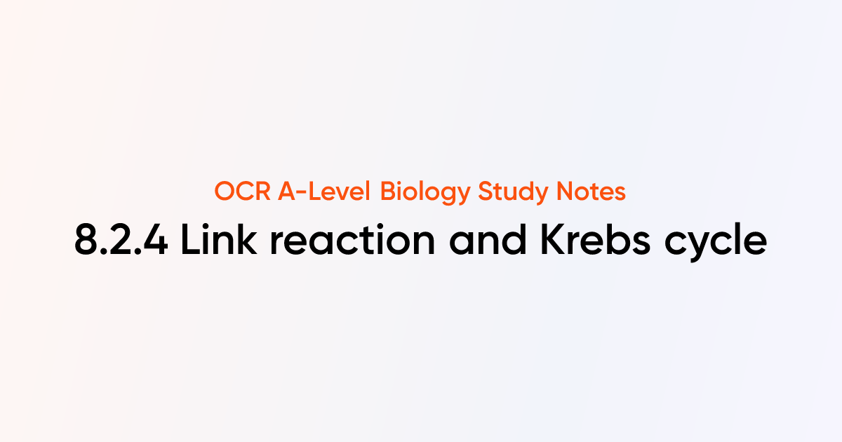 Link reaction and Krebs cycle (8.2.4) | OCR A-Level Biology Notes ...