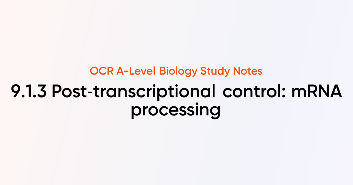 Post‑transcriptional control: mRNA processing (9.1.3) | OCR A-Level ...