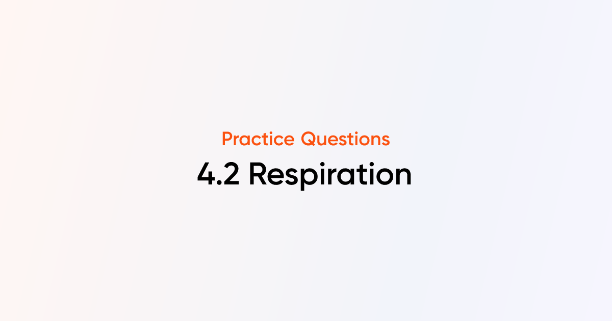 Questions