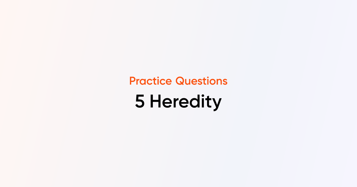Questions