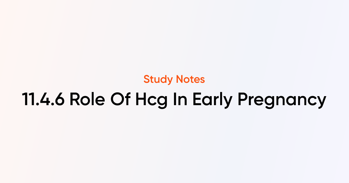 Resources Platform | TutorChase