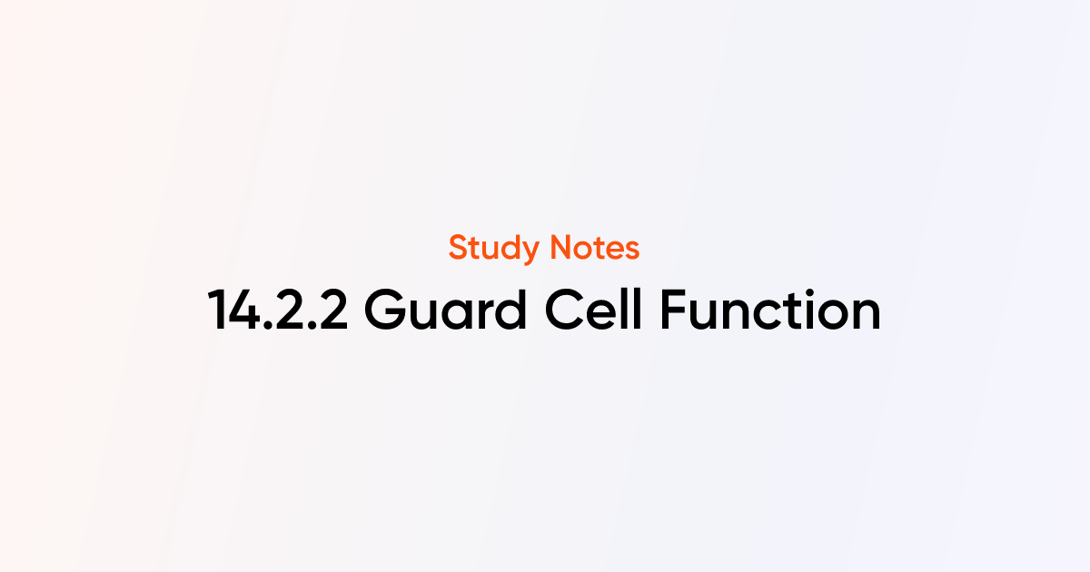 Resources Platform | TutorChase