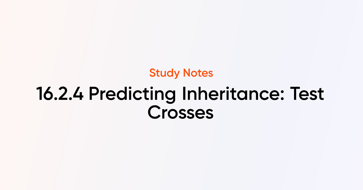 Resources Platform | TutorChase