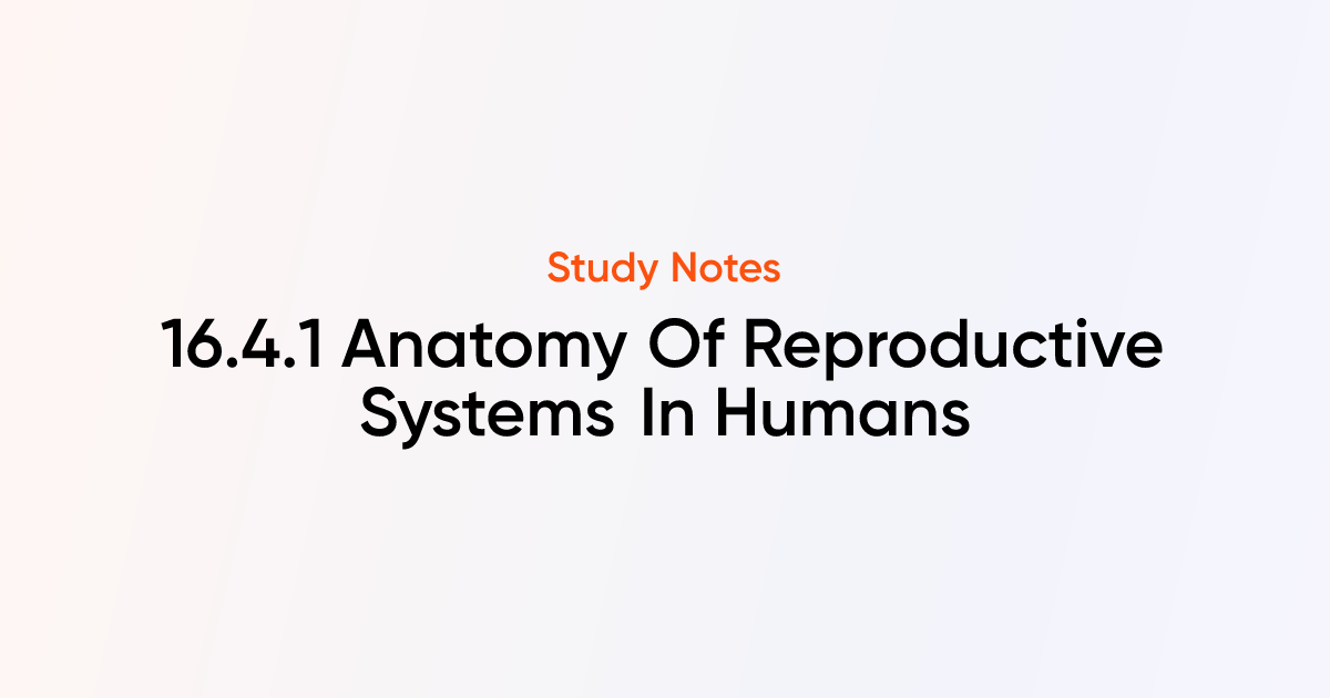 Resources Platform | TutorChase