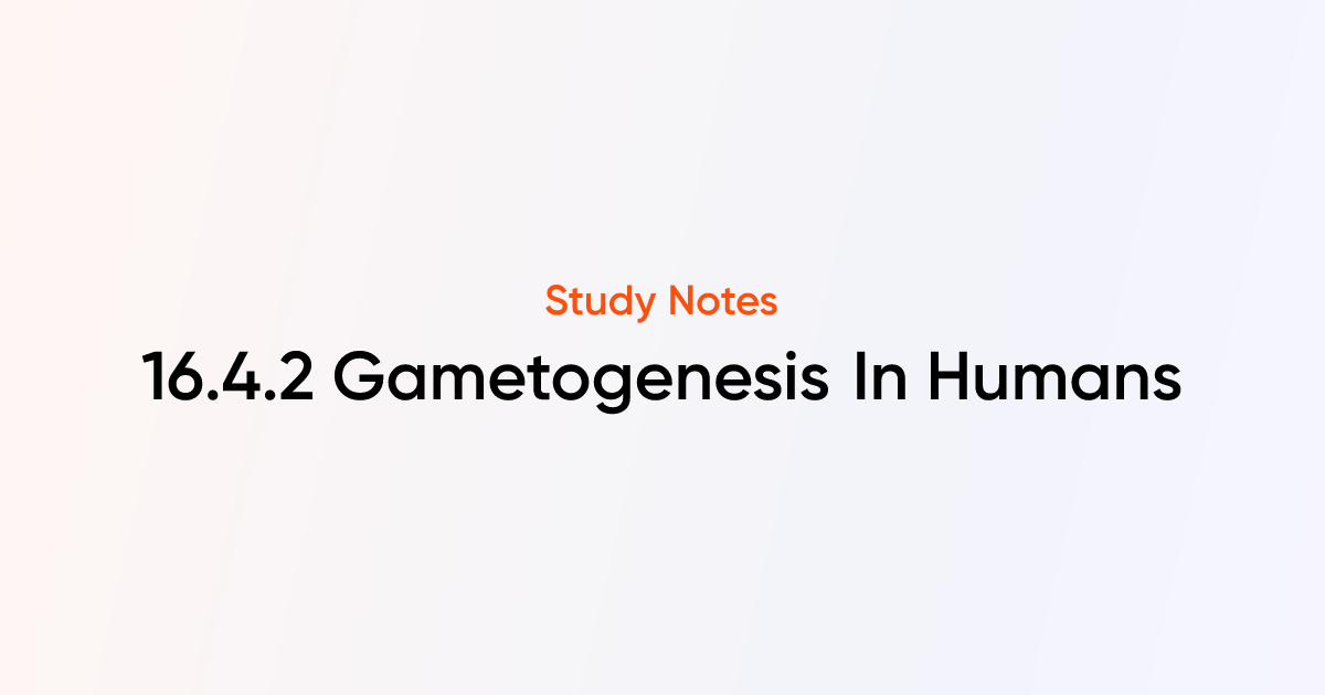 Resources Platform | TutorChase