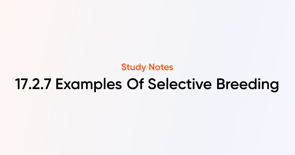 Resources Platform | TutorChase