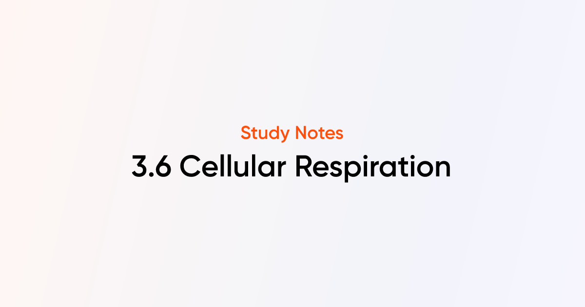 Resources Platform | TutorChase