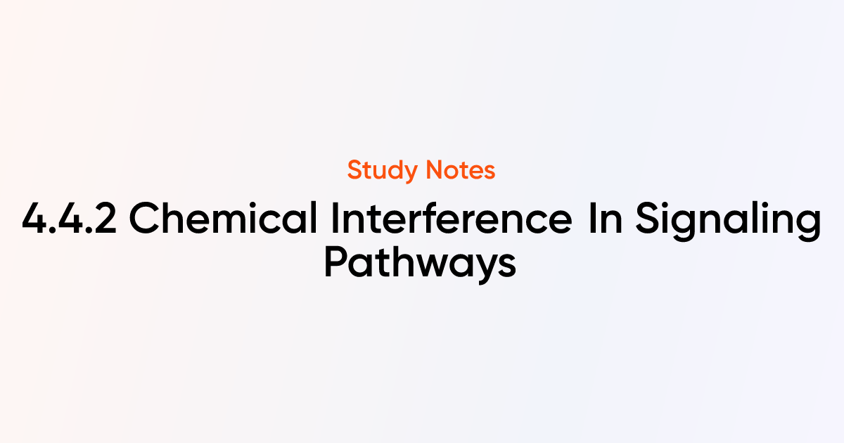 Resources Platform | TutorChase