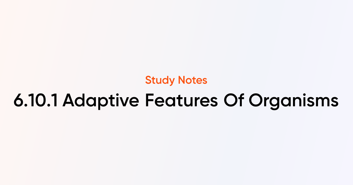 Resources Platform | TutorChase