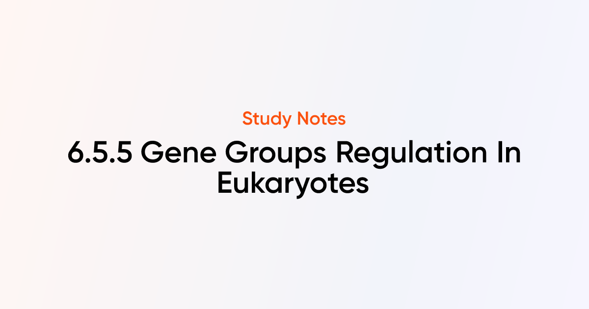 Resources Platform | TutorChase