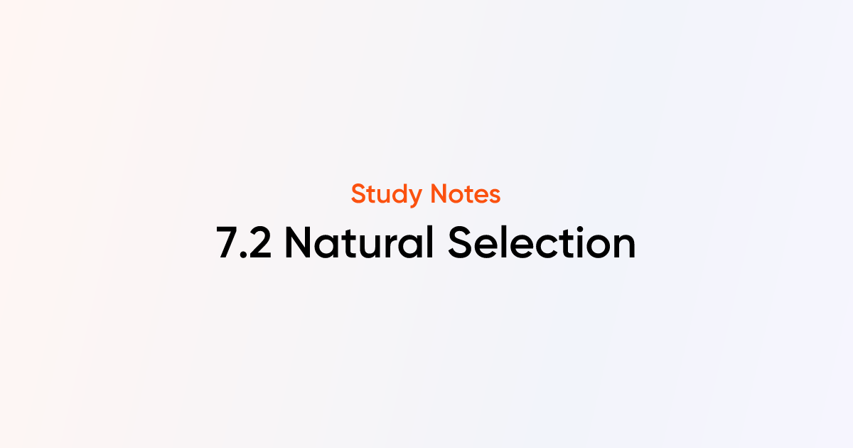 Resources Platform | TutorChase