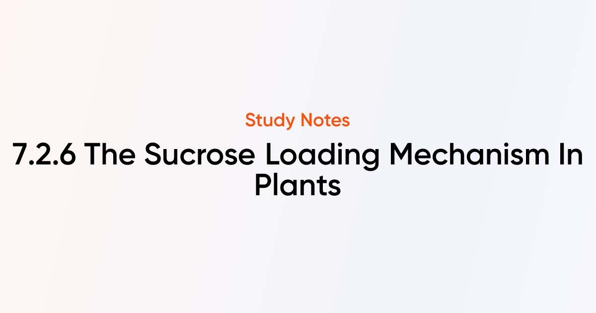 Resources Platform | TutorChase