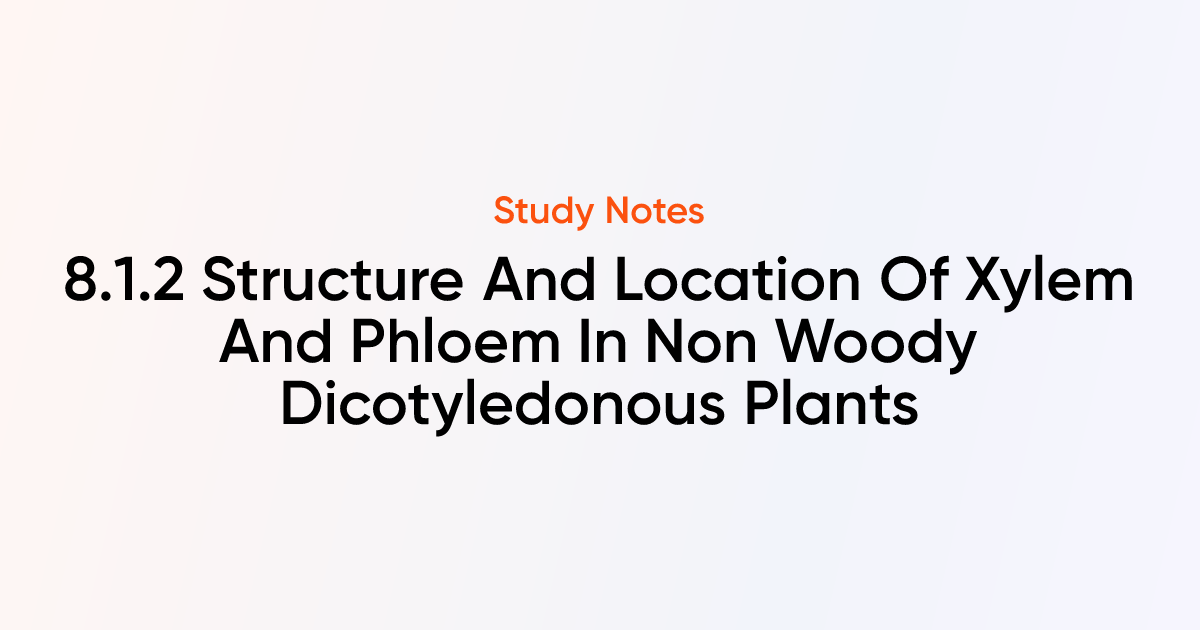 Resources Platform | TutorChase